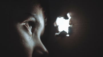 Dominance and Submissiveness in Twins: The Pecking Order – TwinPickle