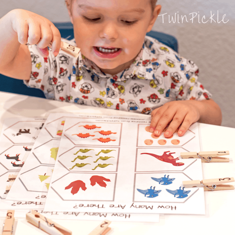 Printable Clothespin Activity Counting Math Numbers – TwinPickle