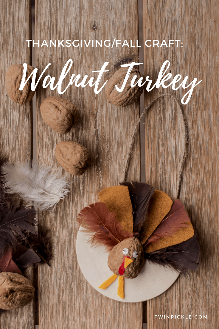 Simple Hanging Thanksgiving Walnut Turkey Craft – TwinPickle