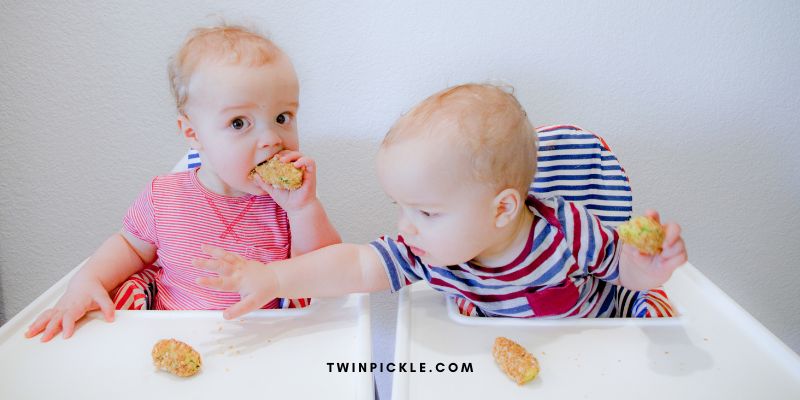 One Twin Bullying the Other: The Power Struggle – TwinPickle
